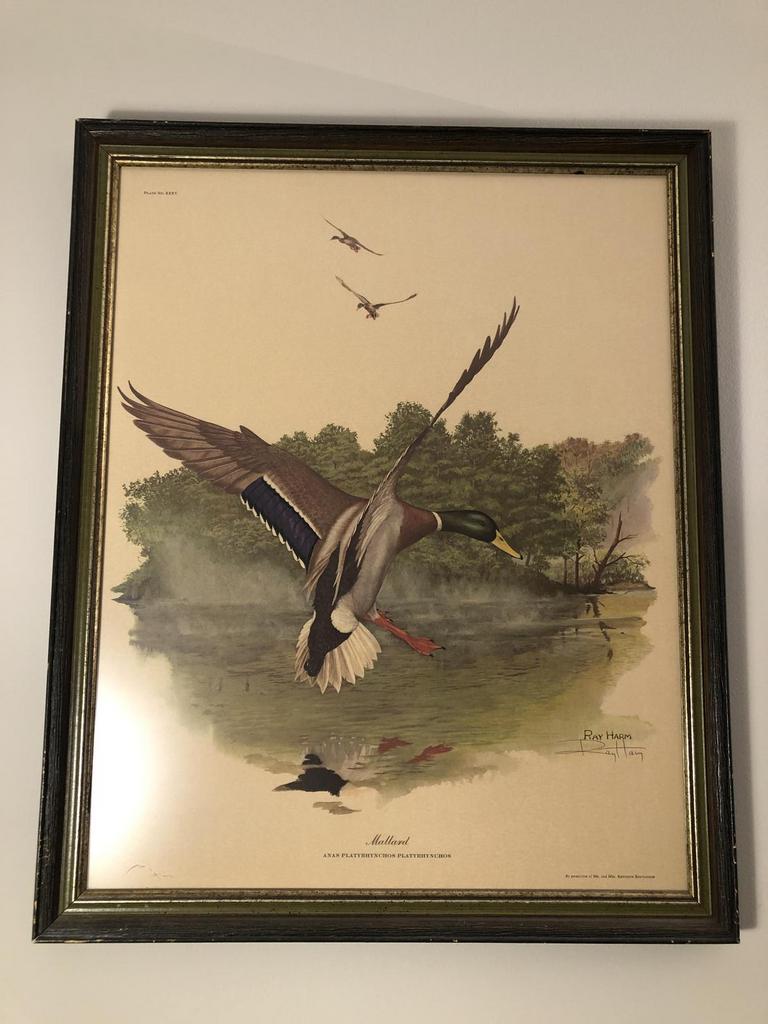 Auction Ohio | Ray Harm Artwork