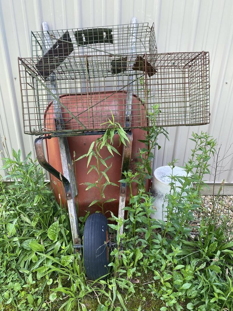 Auction Ohio | Varmint Traps