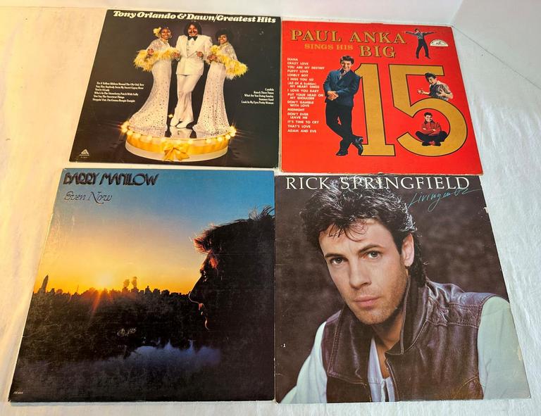 Auction Ohio | Pop Rock Vinyl LP Lot